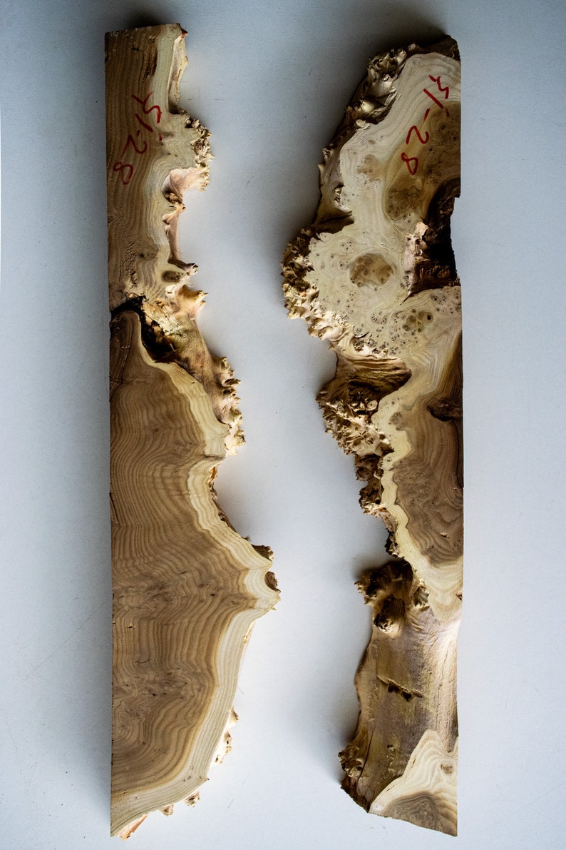 Live Edge Raw Edged Wood Sheet, Live Edge Sheet Unfinished for Craft ...