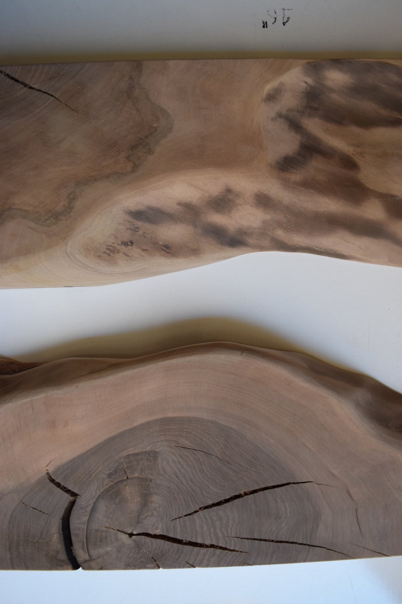 Walnut Tree Slice Walnut Tree Wood Slabs Live Edge Unique - Etsy