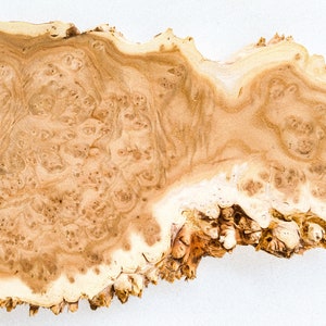 Live Edge Raw Edged Wood Sheet, Live Edge Sheet Unfinished for Craft ...
