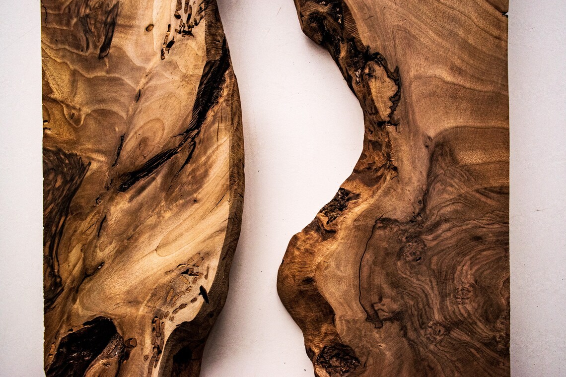 Walnut Tree Slice, Walnut Tree Wood Slabs, Live Edge, Unique Walnut ...