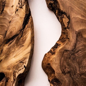 Walnut Tree Slice, Walnut Tree Wood Slabs, Live Edge, Unique Walnut ...
