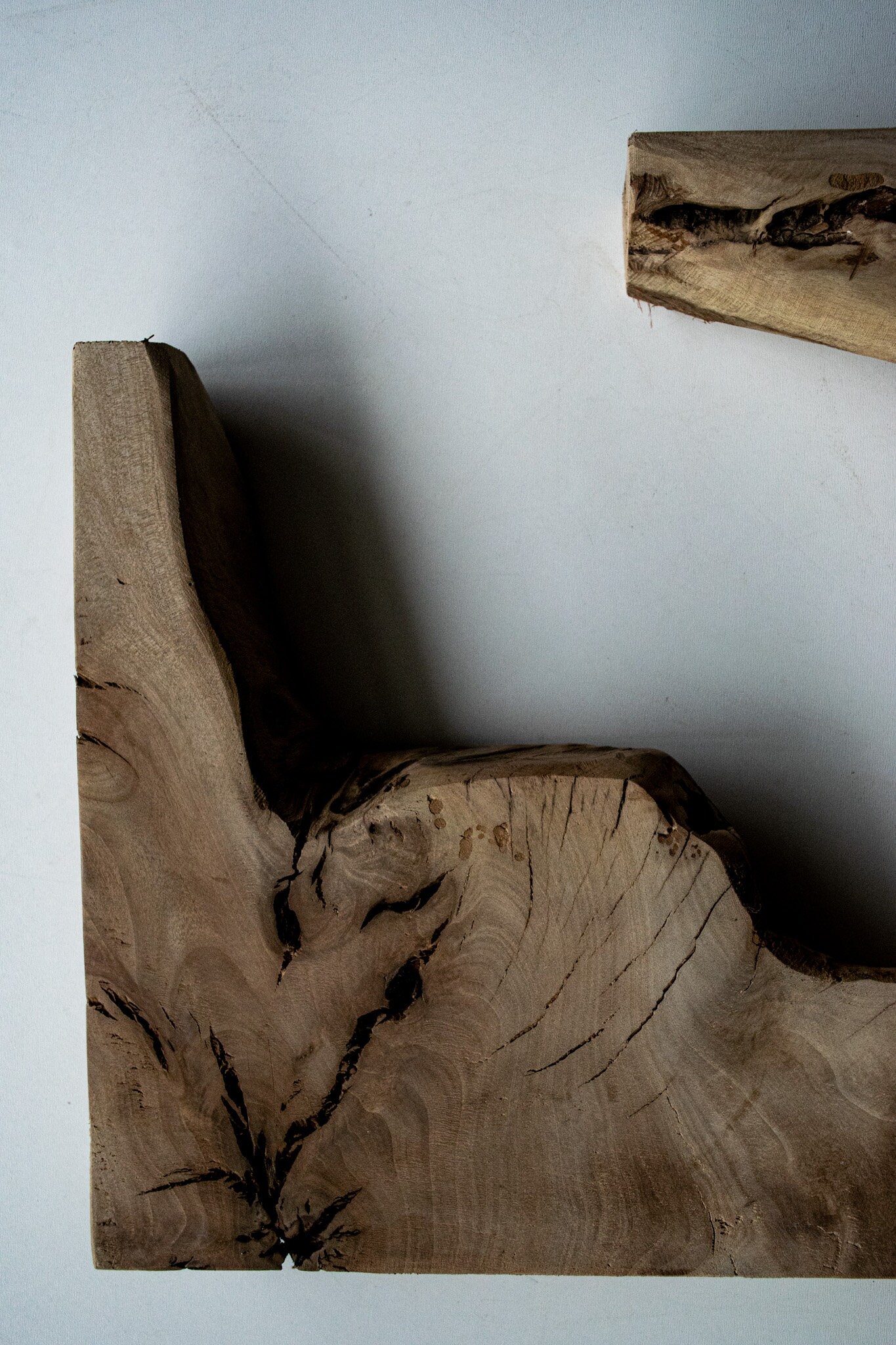 Walnut Tree Slice Walnut Tree Wood Slabs Live Edge Unique - Etsy