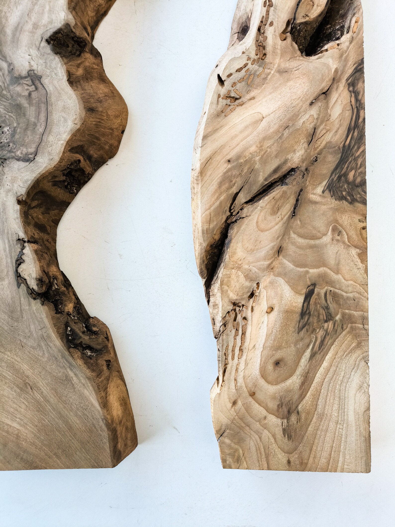 Walnut Tree Slice, Walnut Tree Wood Slabs, Live Edge, Unique Walnut ...