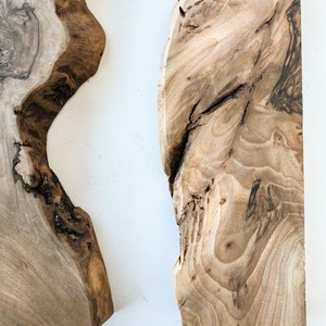 Walnut Tree Slice, Walnut Tree Wood Slabs, Live Edge, Unique Walnut ...