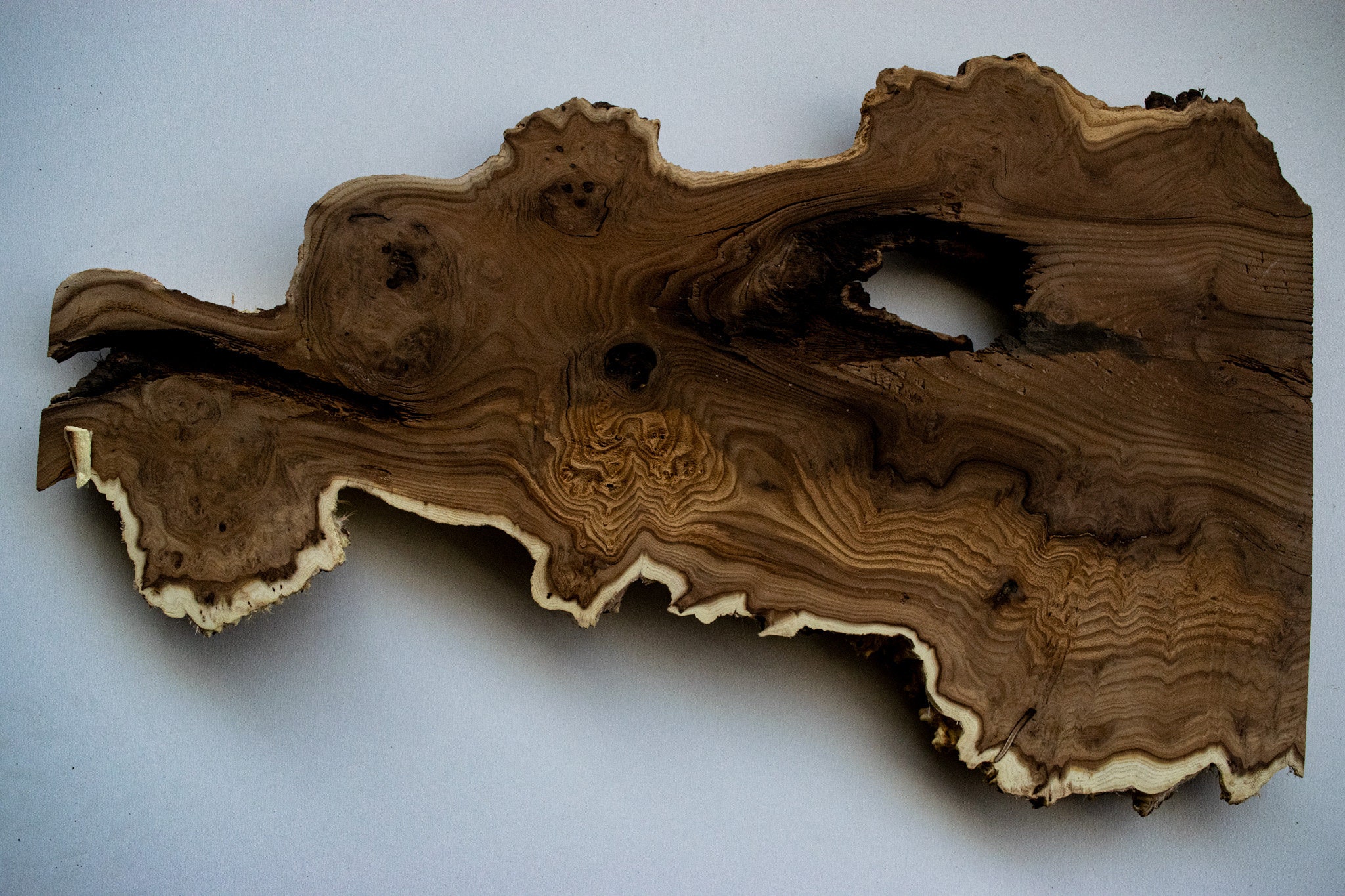 Live Edge Raw Edged Wood Sheet Live Edge Sheet Unfinished for - Etsy