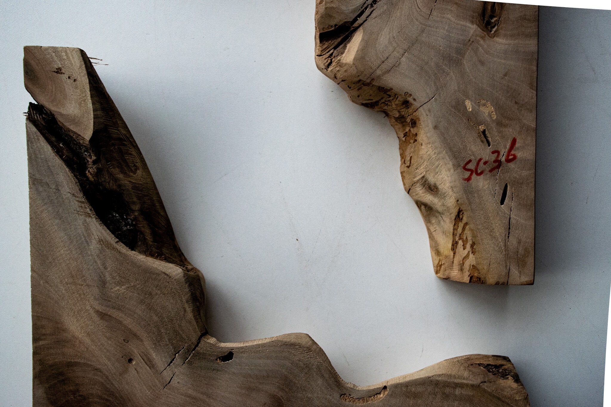 Walnut Tree Slice Walnut Tree Wood Slabs Live Edge Unique - Etsy