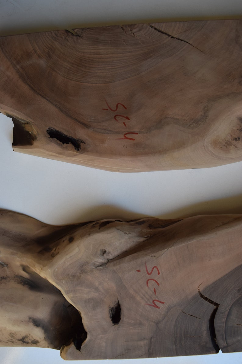 Walnut Tree Slice Walnut Tree Wood Slabs Live Edge Unique - Etsy