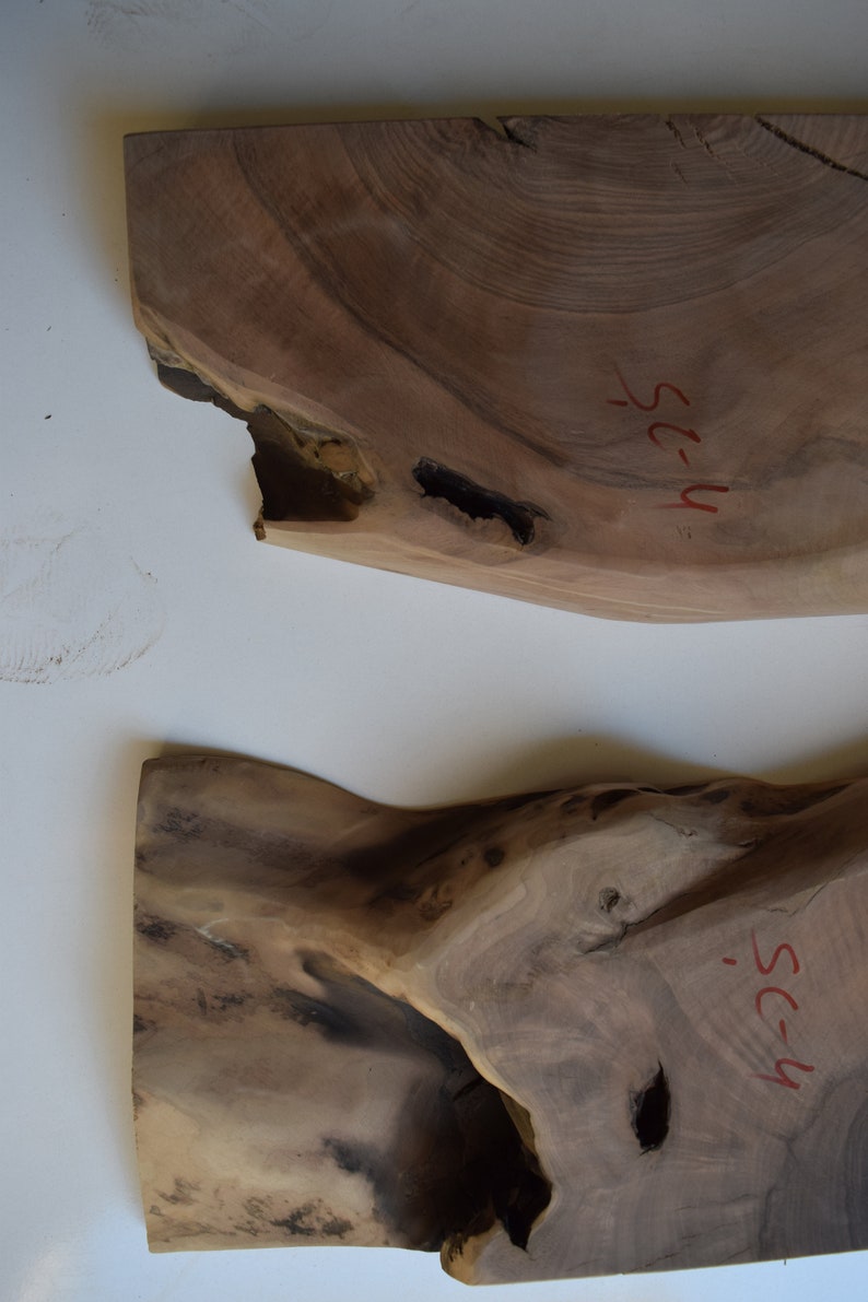 Walnut Tree Slice Walnut Tree Wood Slabs Live Edge Unique - Etsy