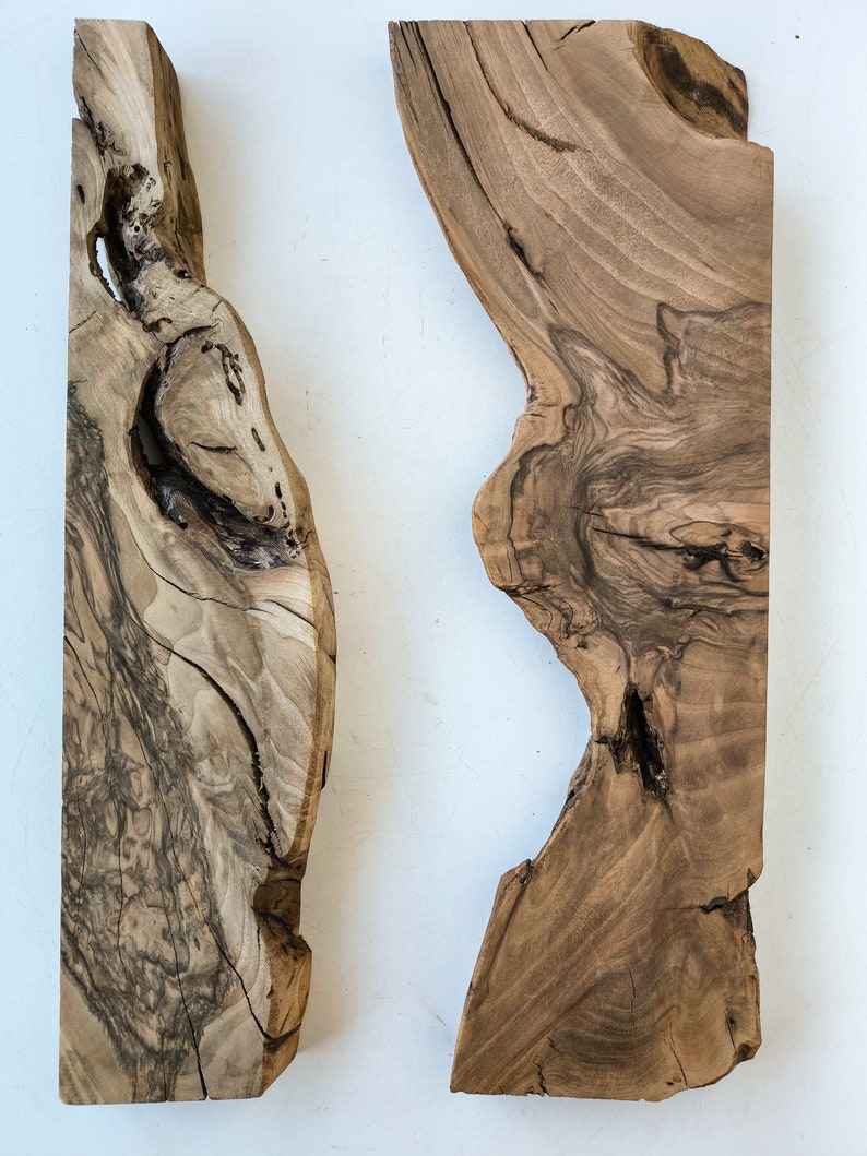 Walnut Tree Slice, Walnut Tree Wood Slabs, Live Edge, Unique Walnut ...