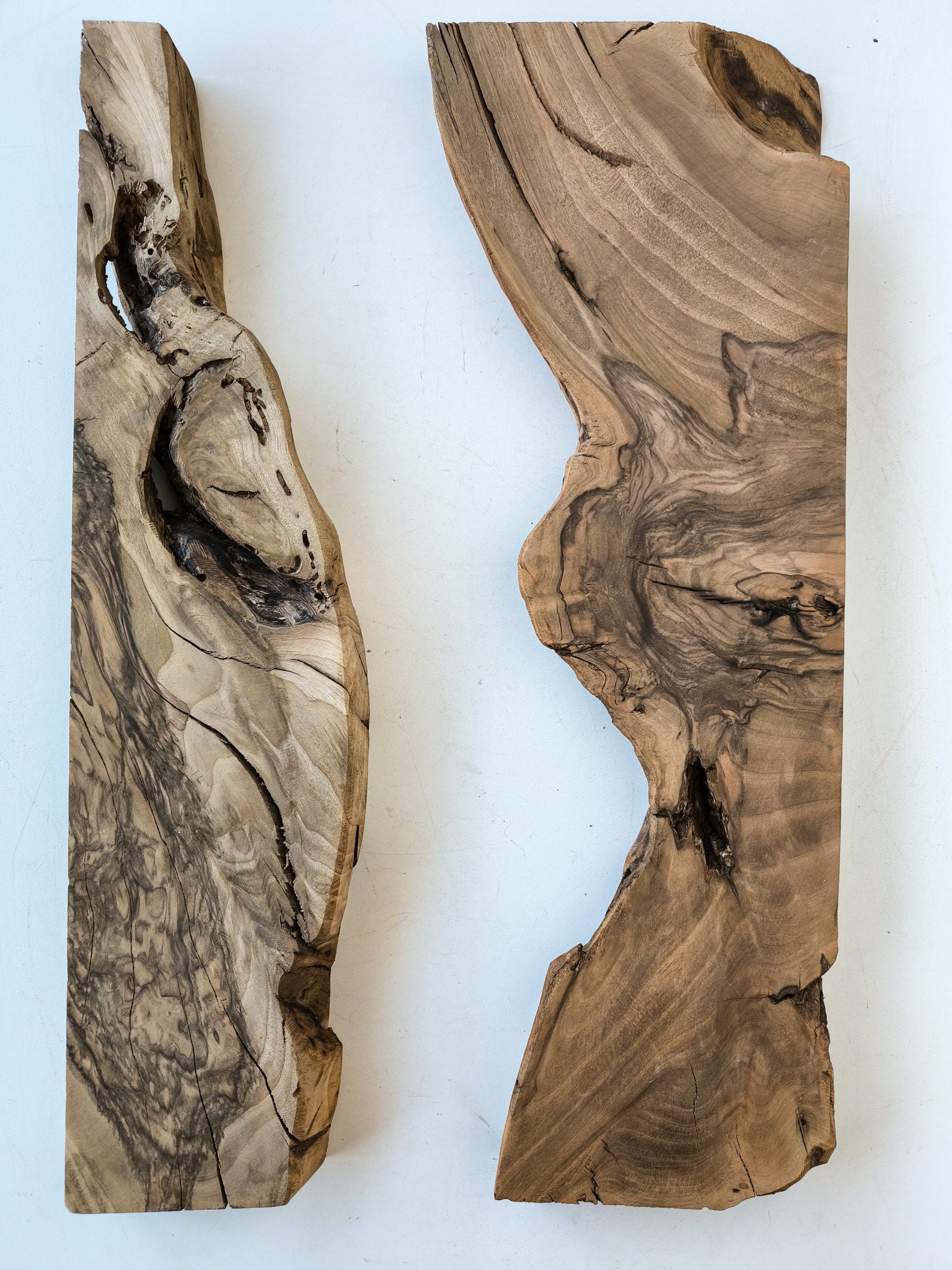 Walnut Tree Slice, Walnut Tree Wood Slabs, Live Edge, Unique Walnut ...
