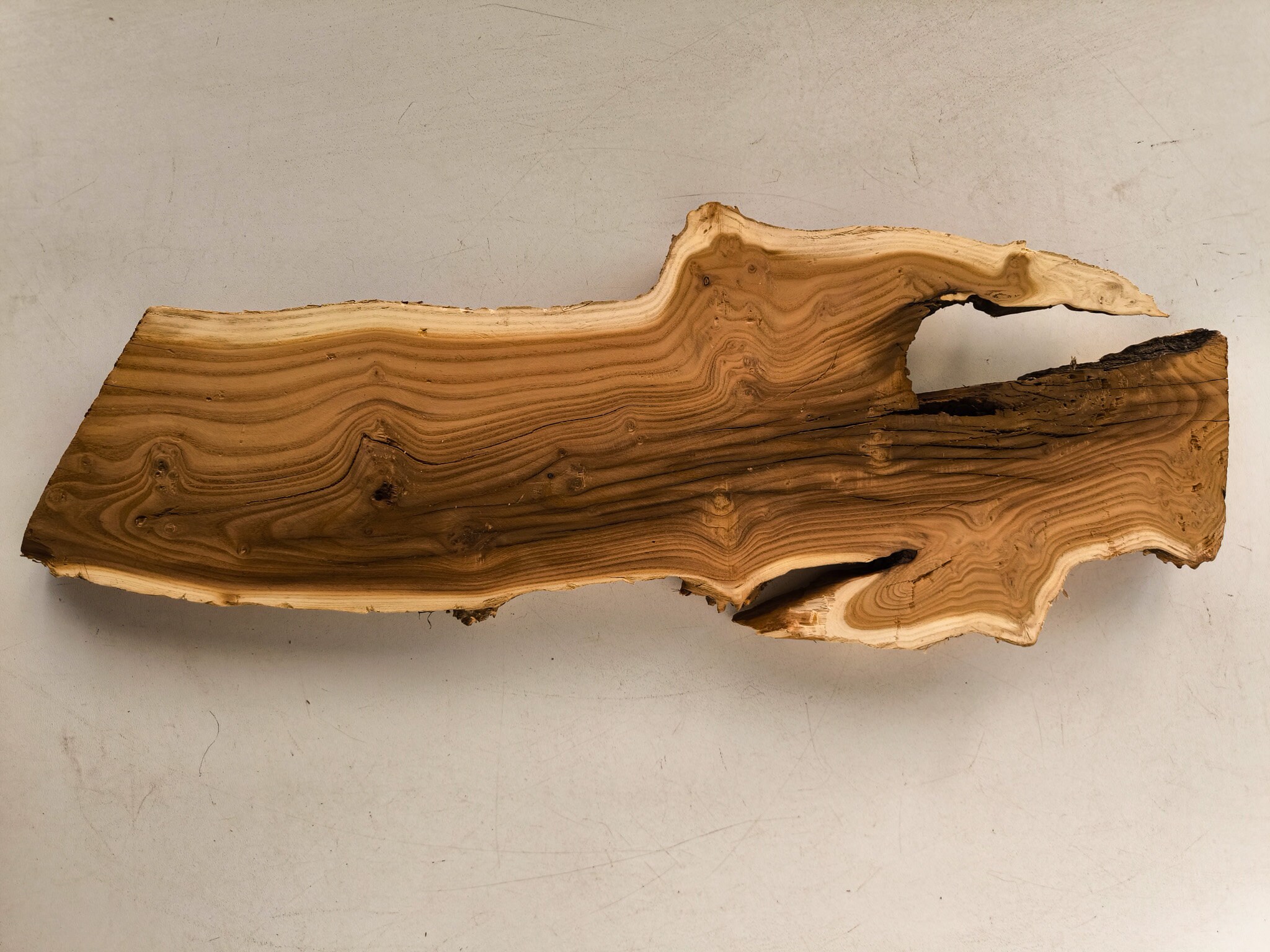 Live Edge Raw Edged Wood Sheet, Live Edge Sheet Unfinished for Craft ...