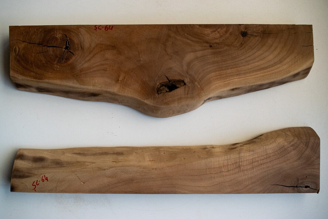 Walnut Tree Slice, Walnut Tree Wood Slabs, Live Edge, Unique Walnut ...