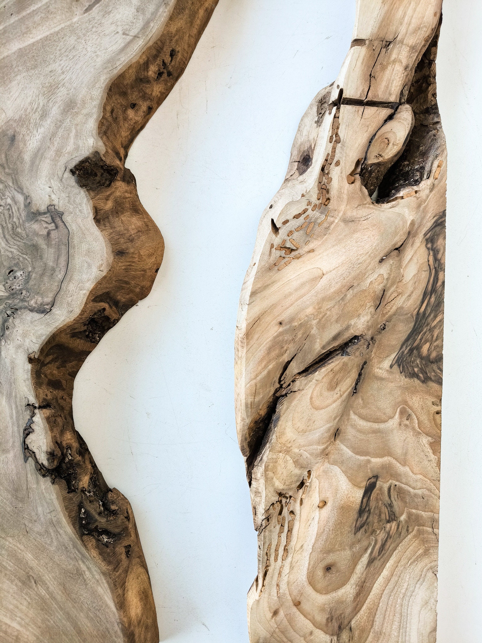 Walnut Tree Slice, Walnut Tree Wood Slabs, Live Edge, Unique Walnut ...