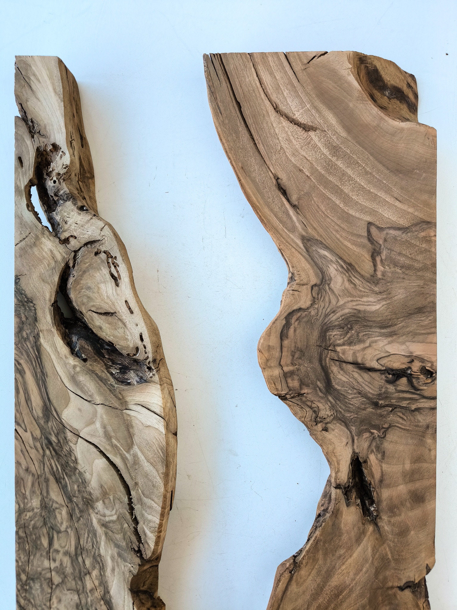 Walnut Tree Slice, Walnut Tree Wood Slabs, Live Edge, Unique Walnut ...