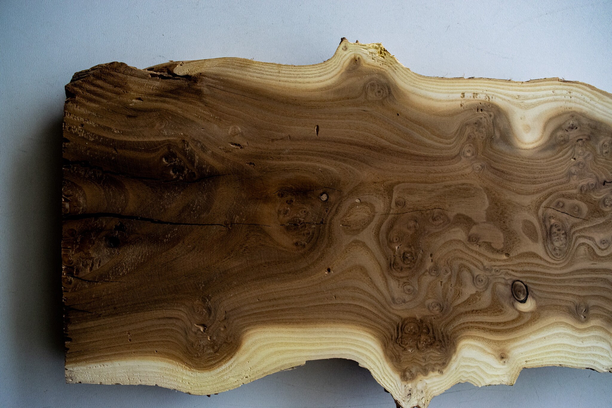Live Edge Raw Edged Wood Sheet Live Edge Sheet Unfinished for - Etsy