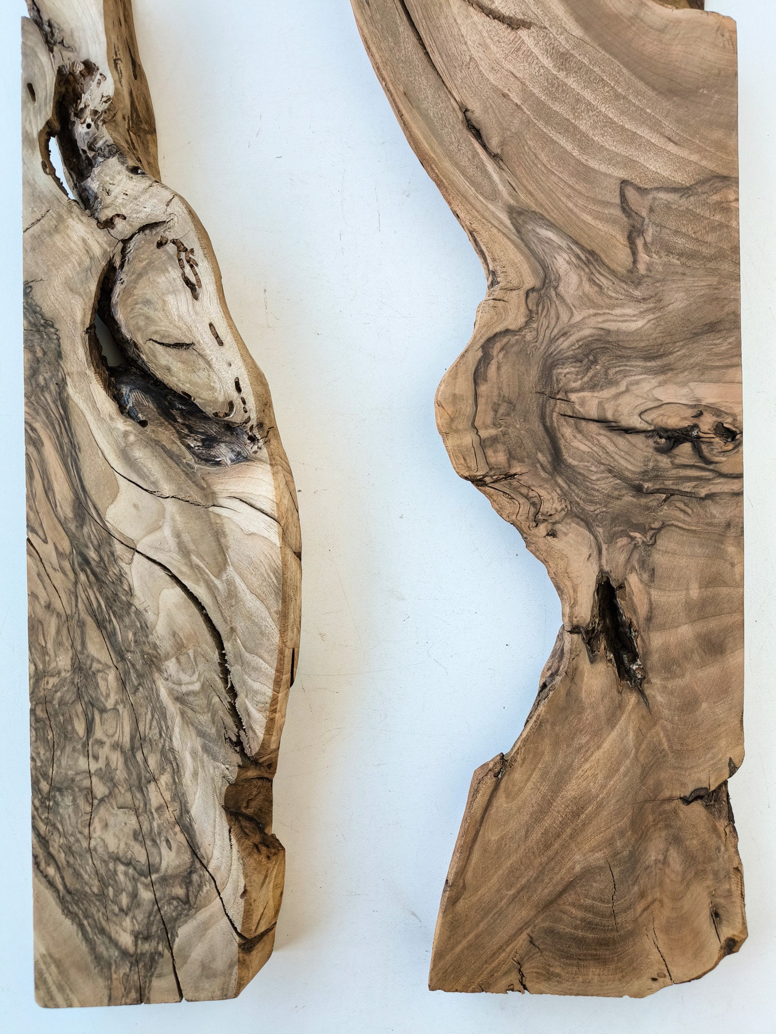 Walnut Tree Slice, Walnut Tree Wood Slabs, Live Edge, Unique Walnut ...