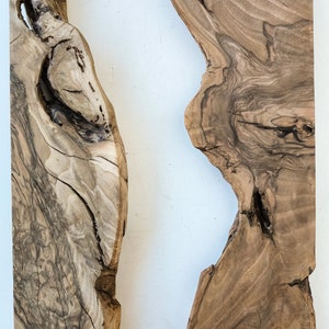 Walnut Tree Slice, Walnut Tree Wood Slabs, Live Edge, Unique Walnut ...