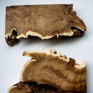 Live Edge Raw Edged Wood Sheet Live Edge Sheet Unfinished for - Etsy
