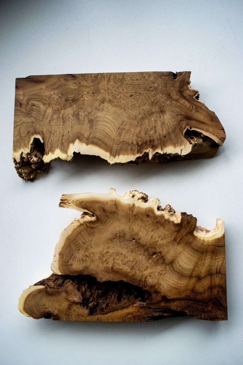Live Edge Raw Edged Wood Sheet Live Edge Sheet Unfinished for - Etsy
