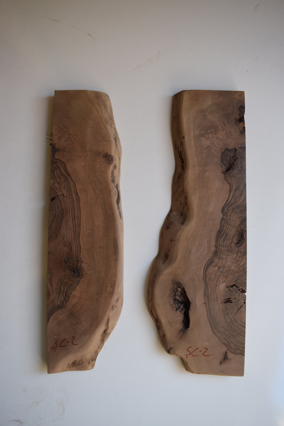 Walnut Tree Slice Walnut Tree Wood Slabs Live Edge Unique - Etsy