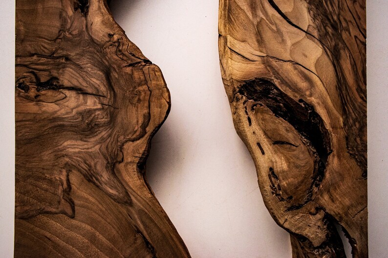 Walnut Tree Slice, Walnut Tree Wood Slabs, Live Edge, Unique Walnut ...