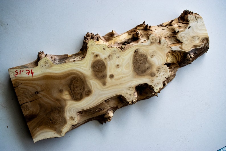 Live Edge Raw Edged Wood Sheet Live Edge Sheet Unfinished for - Etsy