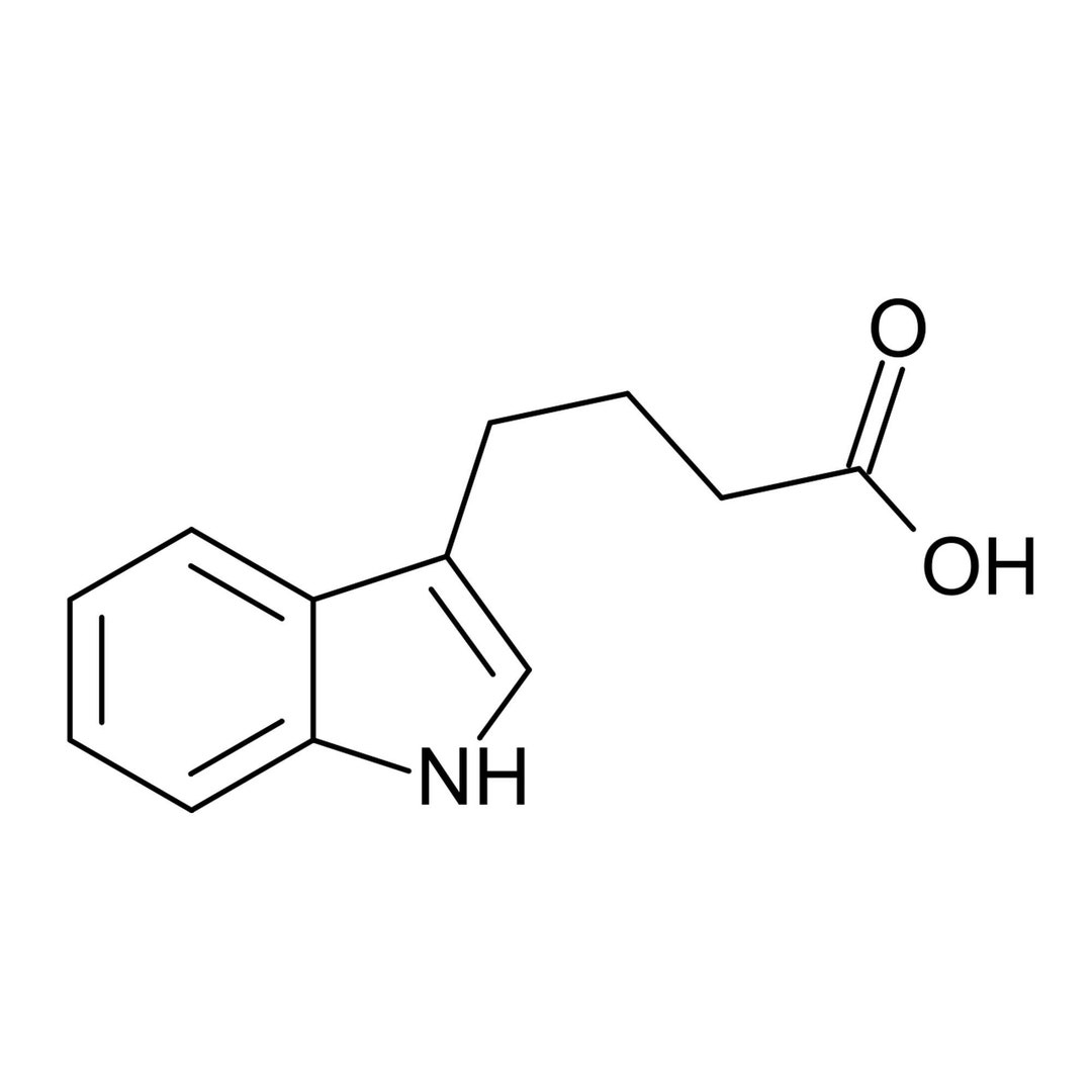 IBA Rooting Hormone Powder | Pure 98% Indole-3-butyric Acid | Plant ...