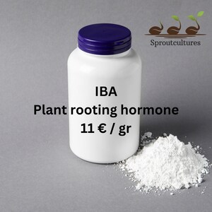 Indole-3-butyric Acid IBA Plant Rooting Hormone - Etsy
