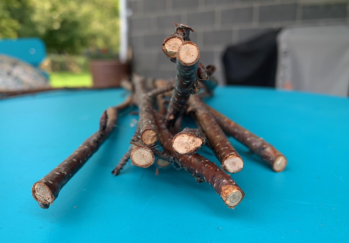 10 Small White Birch Sticks - Approximately 13" Long and 1/4" in ...