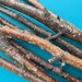 10 Small White Birch Sticks - Approximately 13" Long and 1/4" in ...