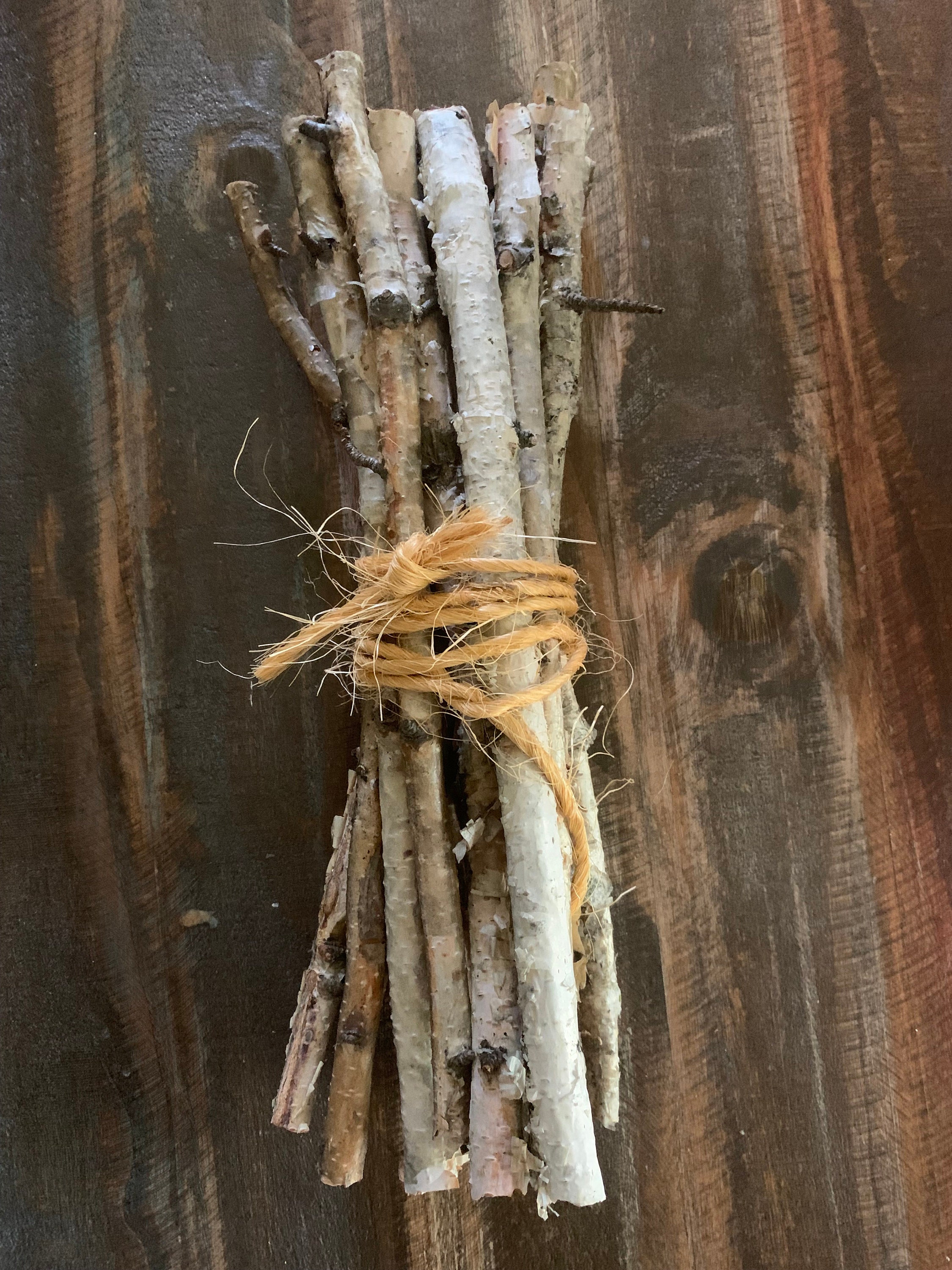 Birch Branches Wholesale
