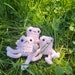 Tiny Baby Leggy Froggie - Etsy UK