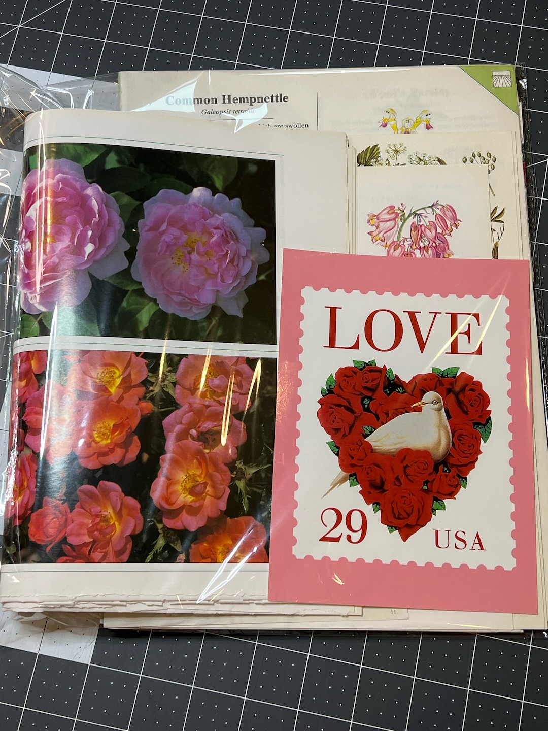 50 Pc Botanical Book Page Set/ Vintage Botanical Book Pages/ Vintage ...