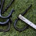Hand Forged Medieval Iron Wall Hooks: Rustic Vintage Decor - Pack of 5 ...