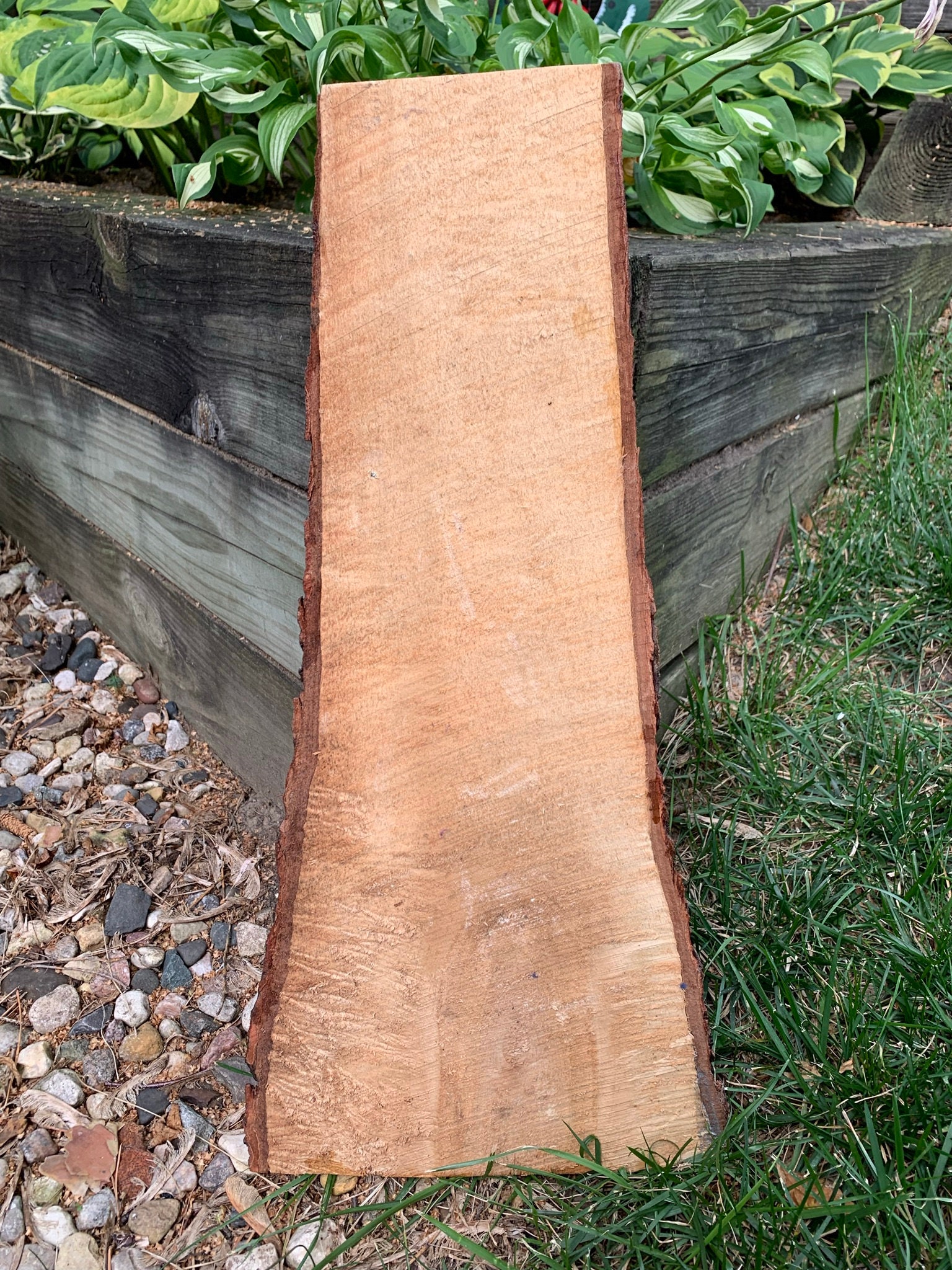 Owl With Hollowed Out Log Tree - Wood Burning - Etsy