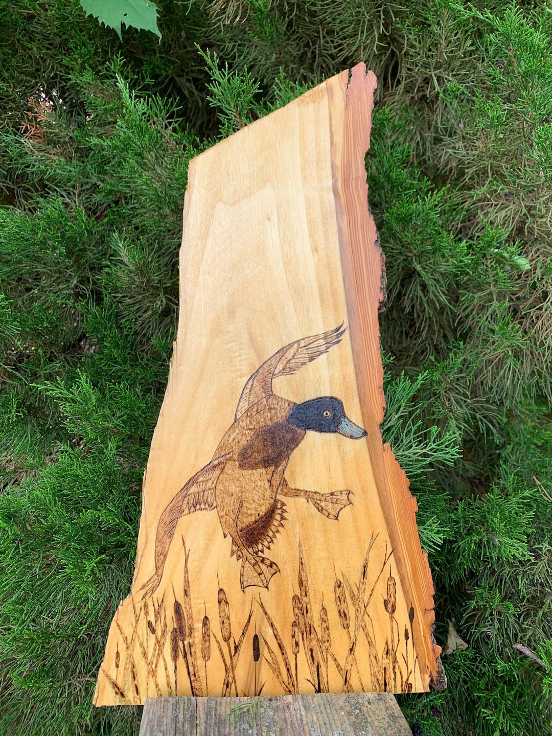 Bluebill Over Cattails - Wood Burning - Etsy