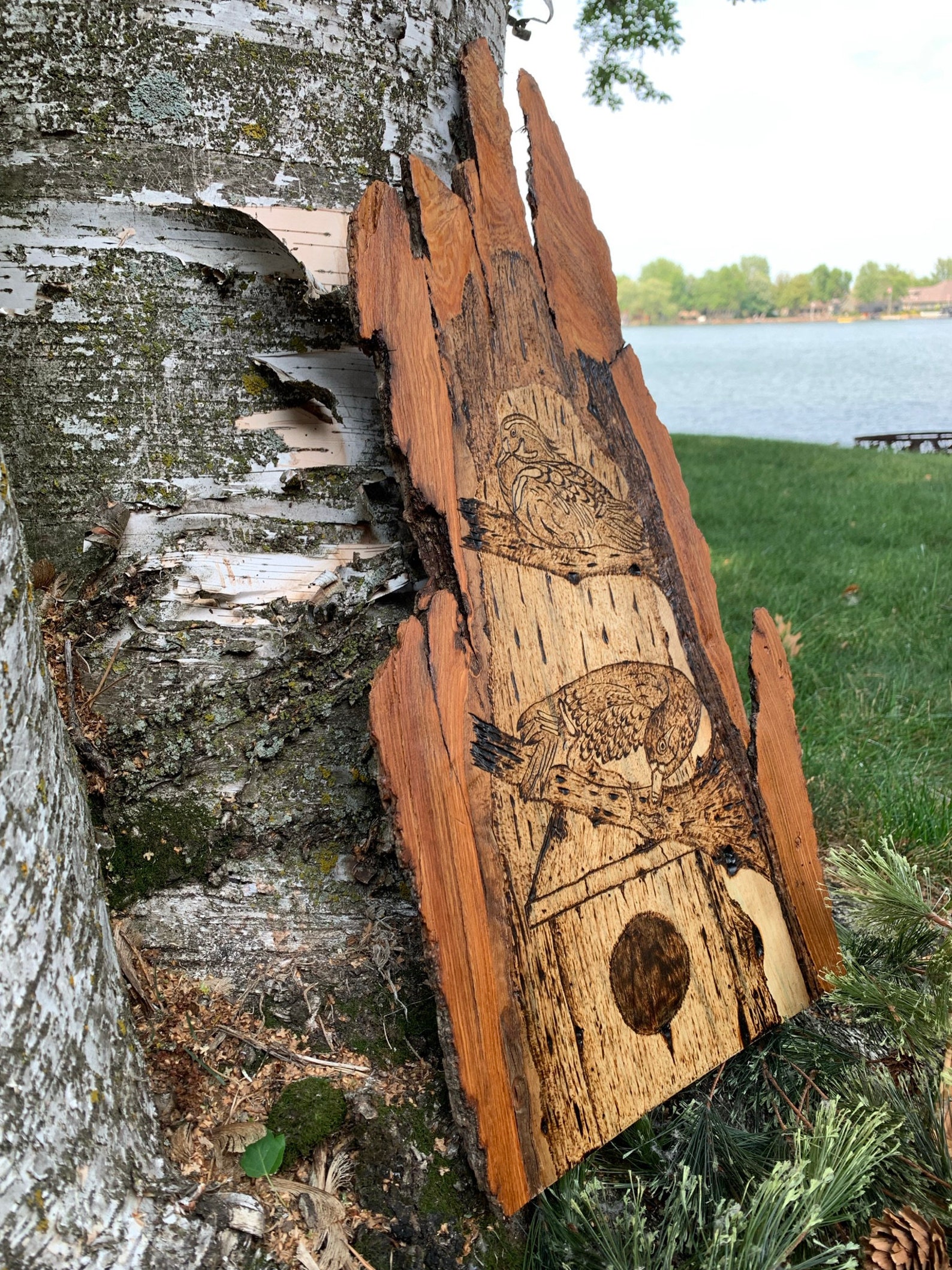 Wood Ducks Over Nest - Wood Burning - Etsy