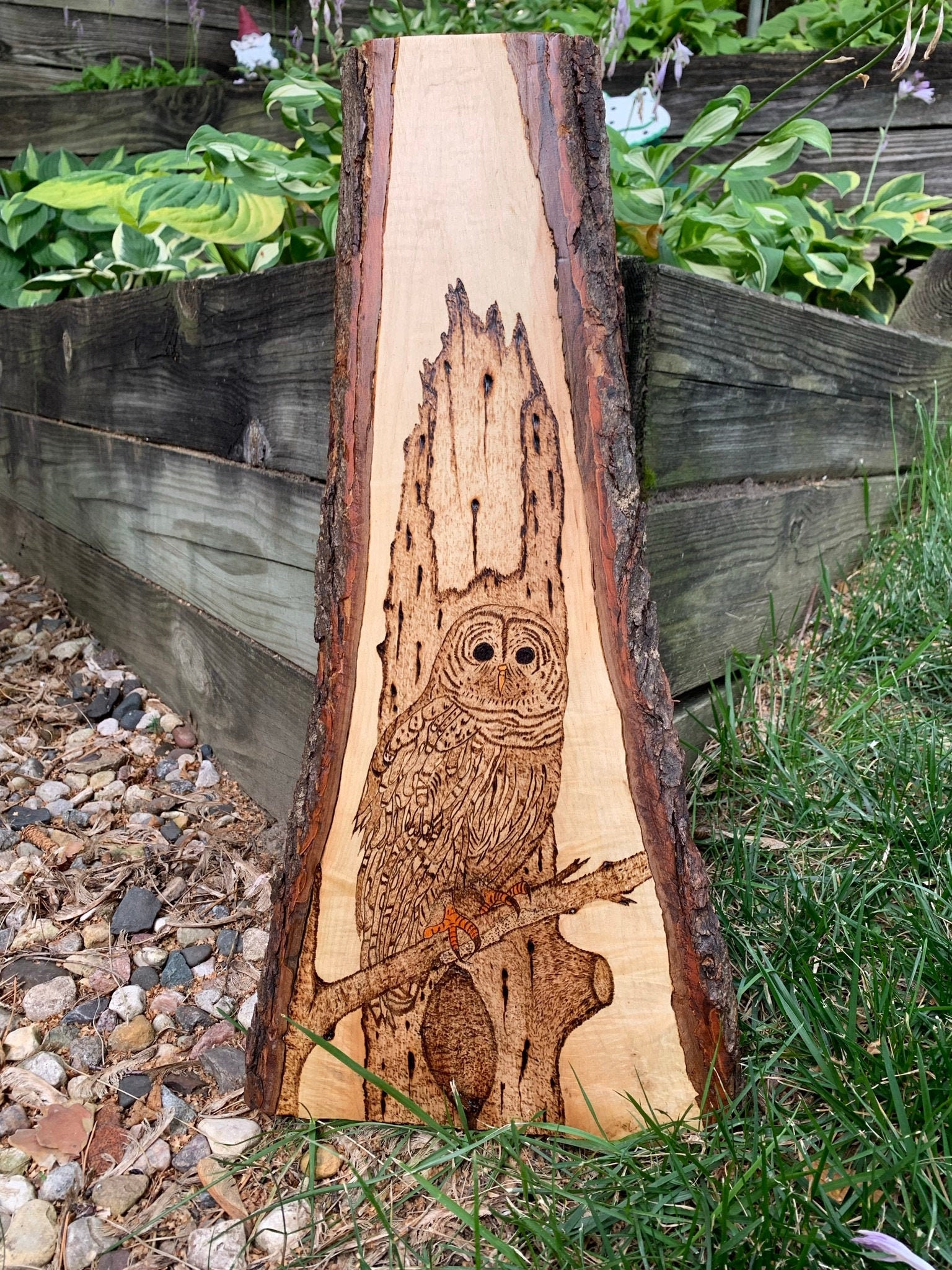 Owl With Hollowed Out Log Tree - Wood Burning - Etsy