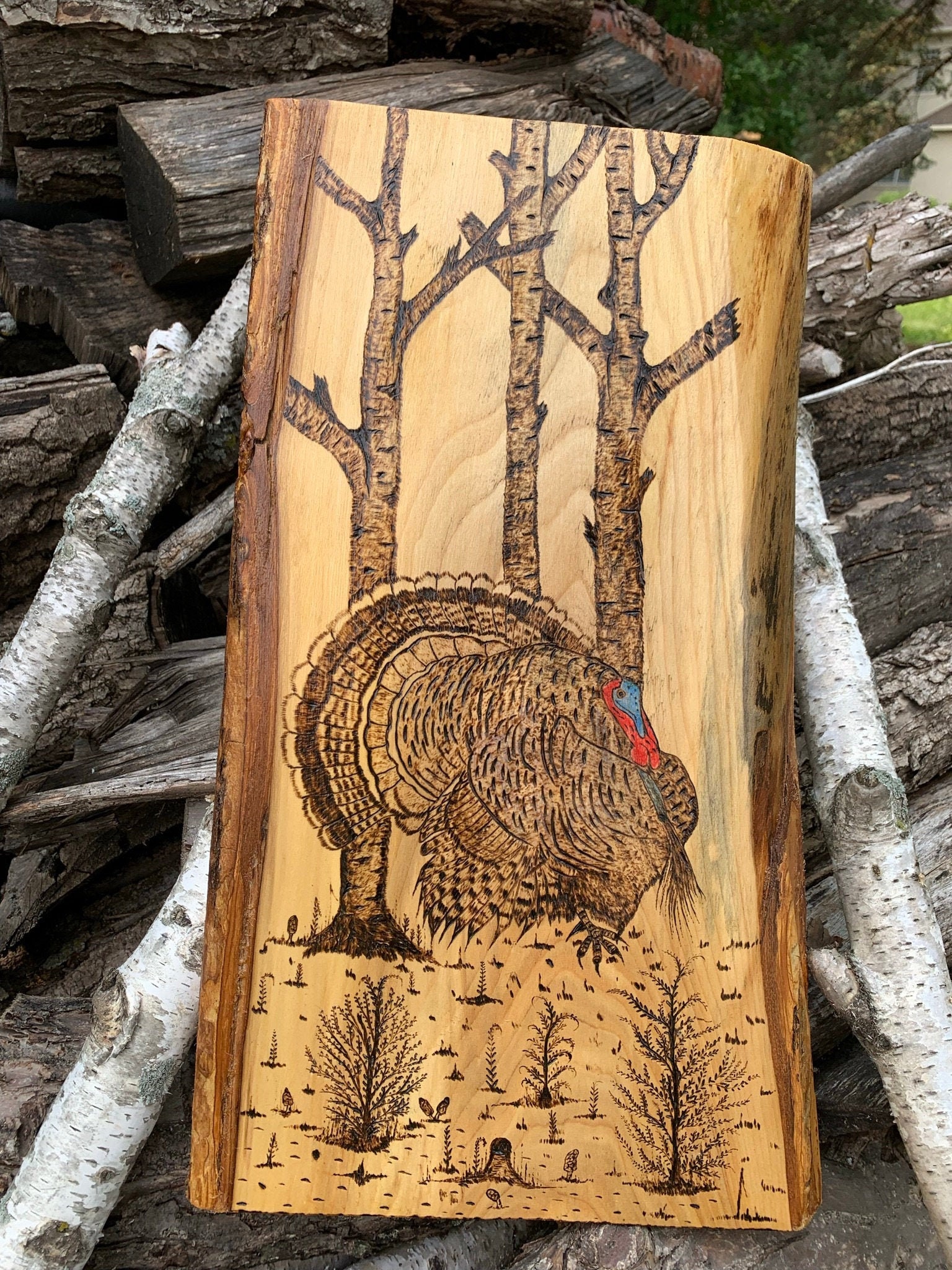 Turkey by Birch Trees - Wood Burning - Etsy