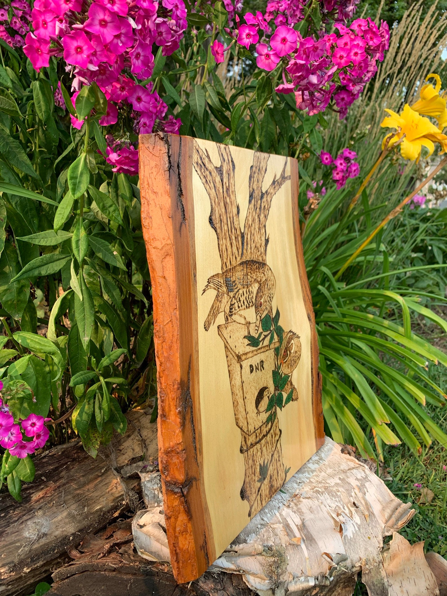 Wood Ducks DNR Nest - Wood Burning - Etsy