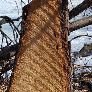 Wood Ducks Over Rat House Marsh - Wood Burning - Etsy