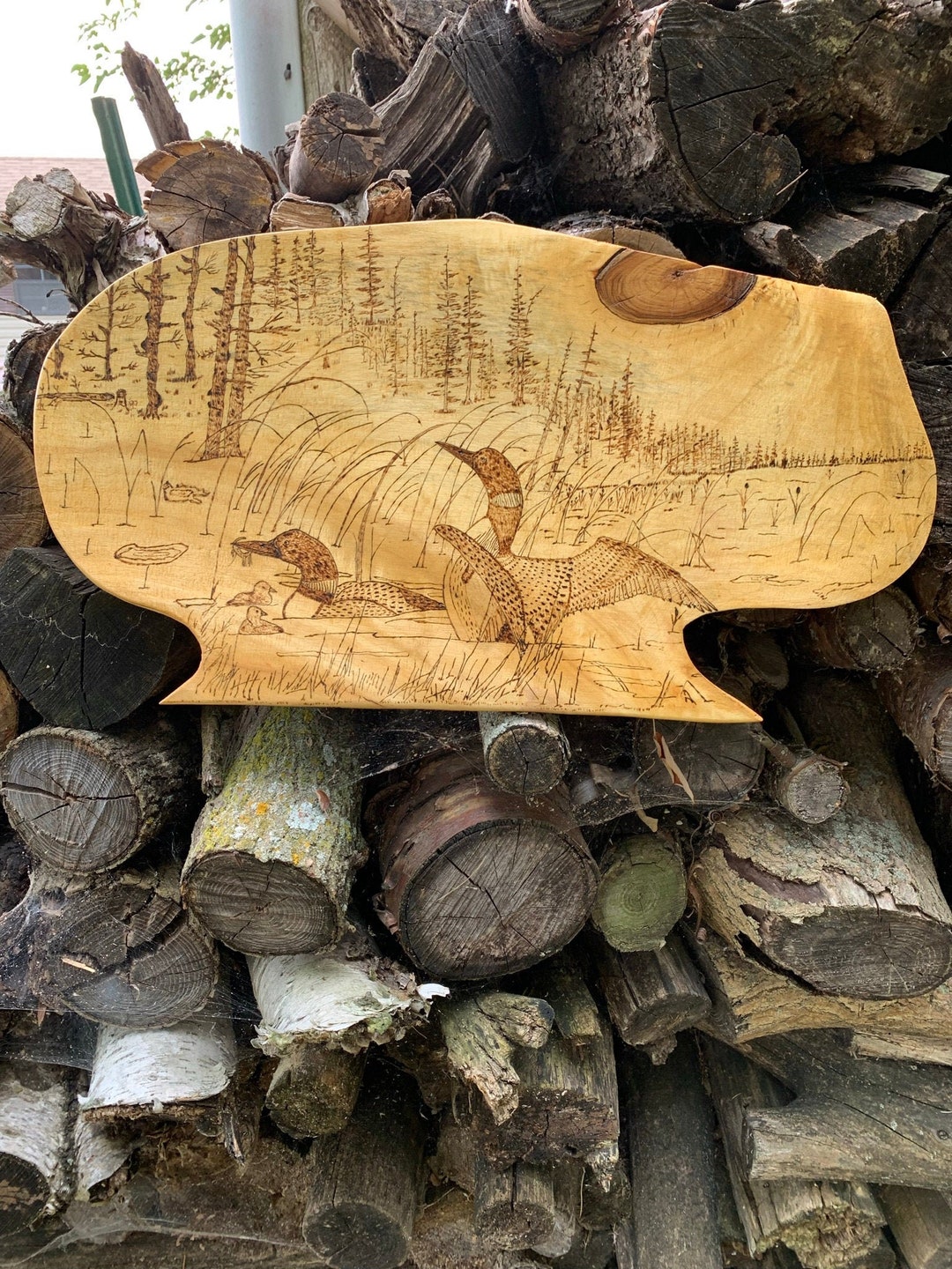 Loons on the Lake With Babies - Wood Burning - Etsy