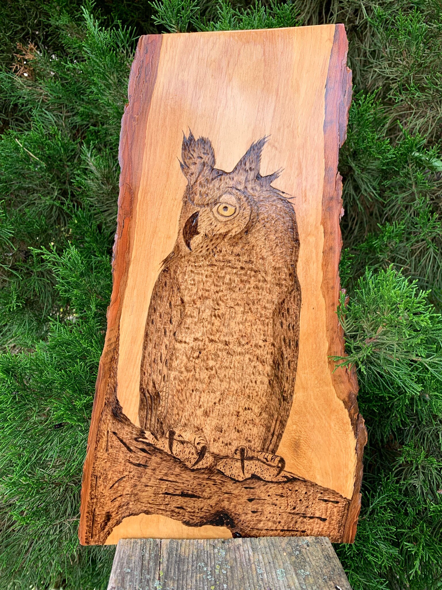 Large Owl on Limb - Wood Burning - Etsy