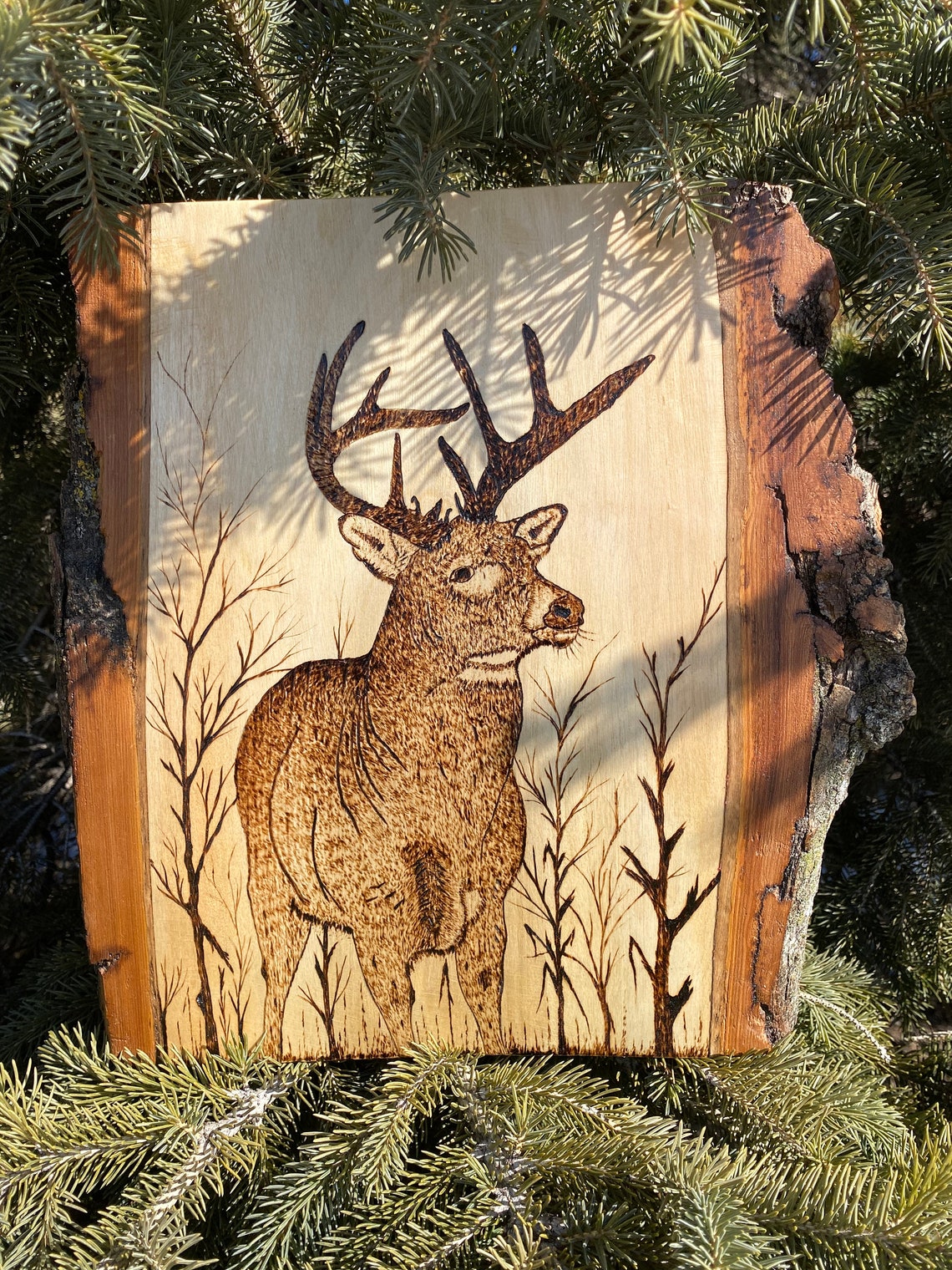 Large Buck by Brush - Wood Burning - Etsy