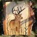 Large Buck by Brush - Wood Burning - Etsy