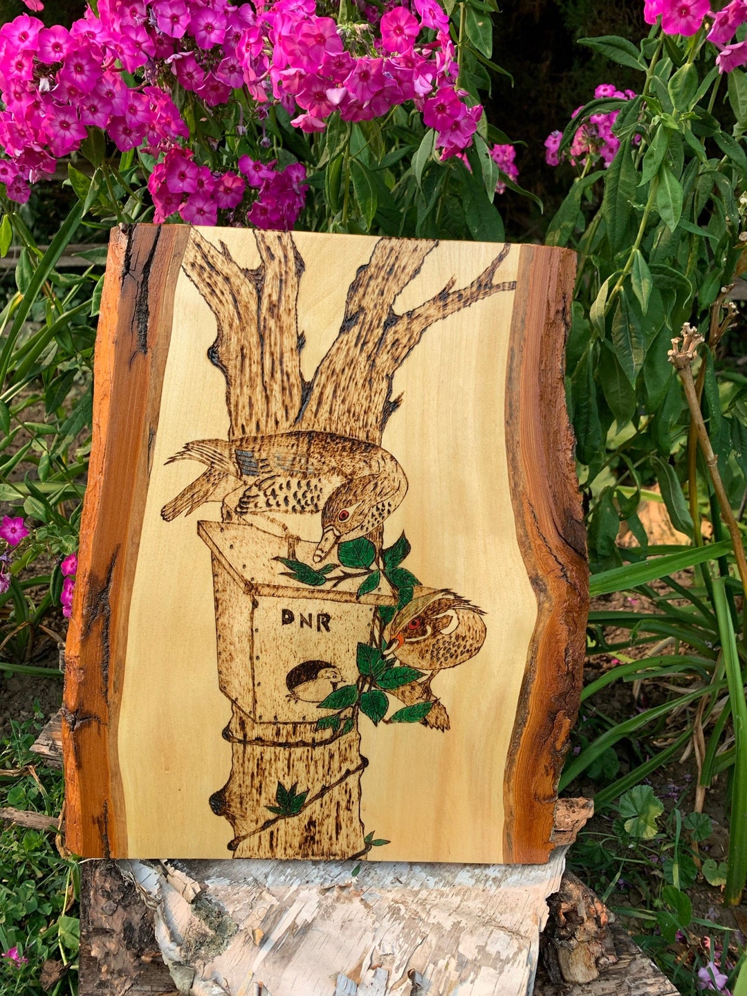 Wood Ducks DNR Nest - Wood Burning - Etsy