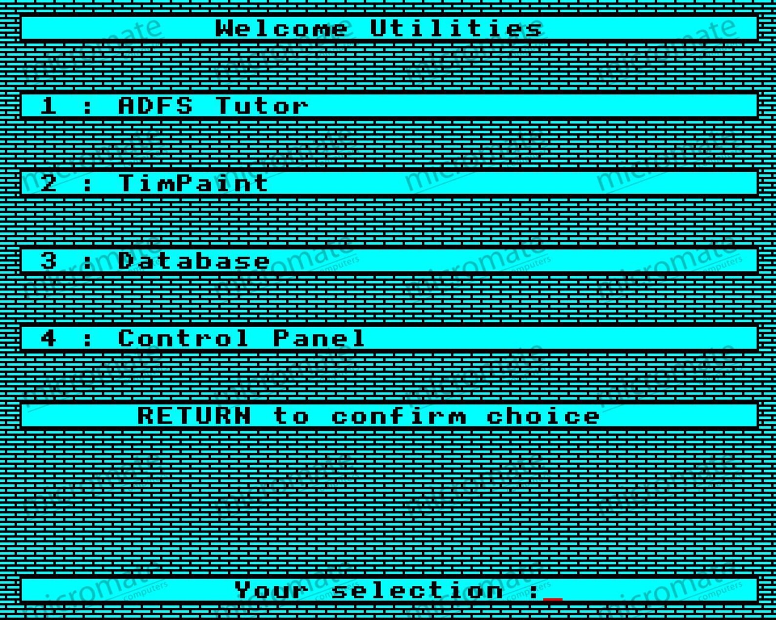 BBC Master Series 128k 5.25 Welcome & Utilities 5.25 Floppy Disk - 80 ...