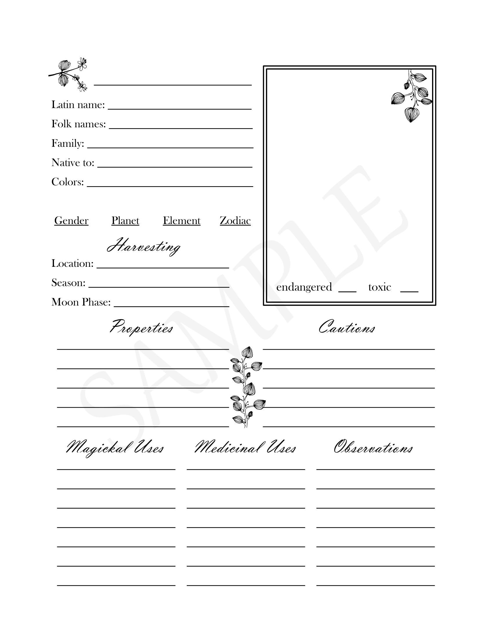 Printable Herbal Grimoire Page Witchcraft Book of Shadows Plant Magick ...