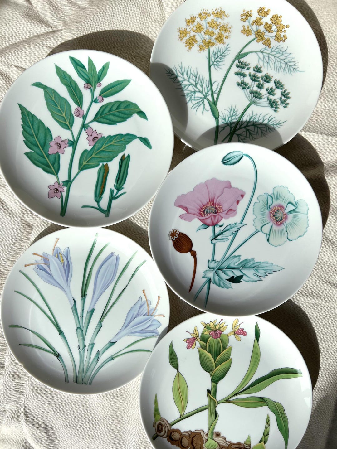 Set of 5 Vintage “botanical Herb Seed” Salad Plates by Horchow - Etsy