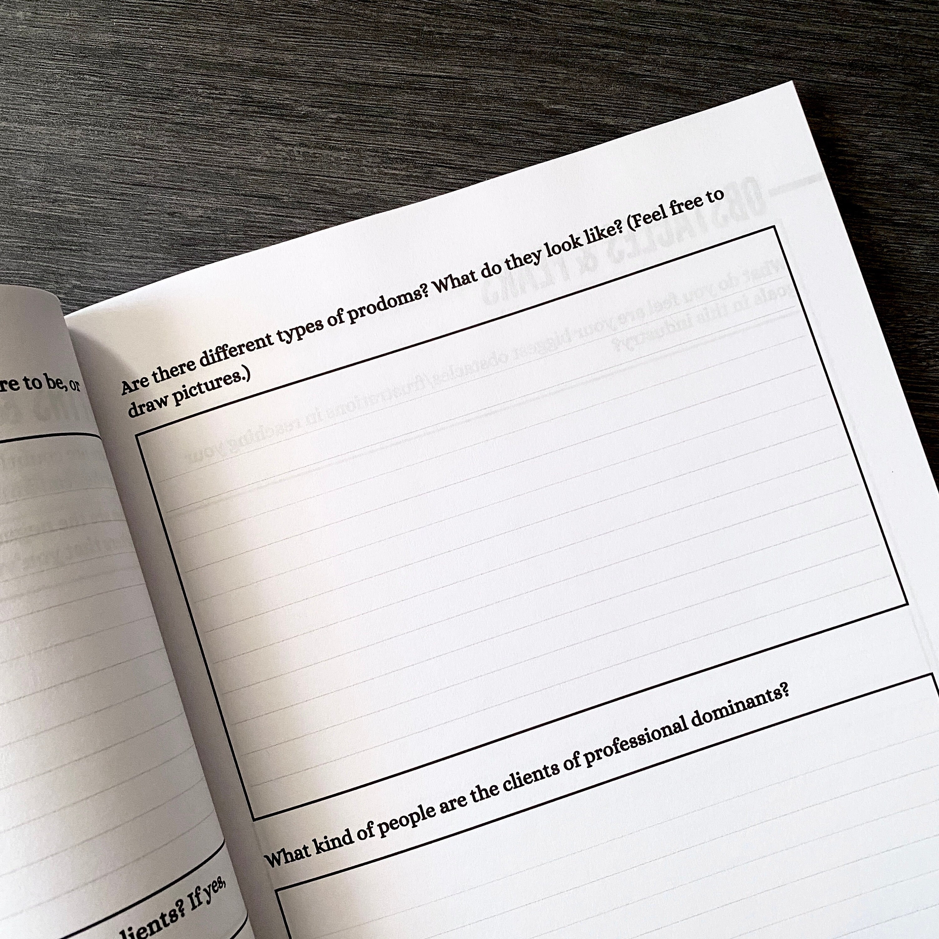 The Prodom Playbook new Workbook Sex Work Book, Kinky BDSM Journal Sexy Gift Idea - Etsy